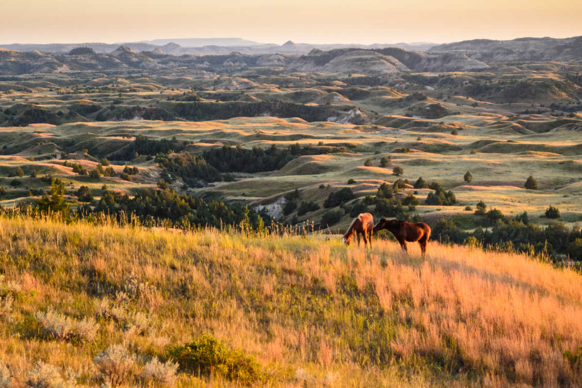 17 Best Places for Family Reunions in the Midwest - Groups Are A Trip