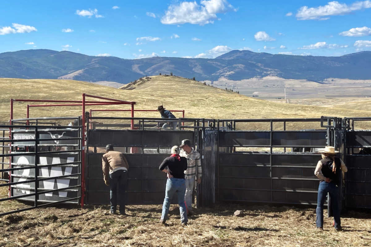 Luxury Ranches and Hidden Gems: Why Glacier Country Montana Is Girls ...