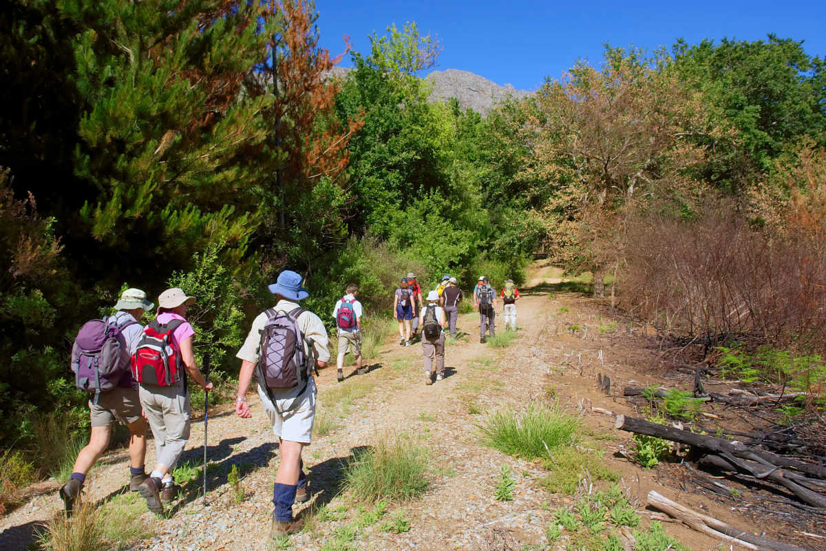 Our Favorite Tips for Planning a Multi-Family Vacation - Groups Are A Trip
